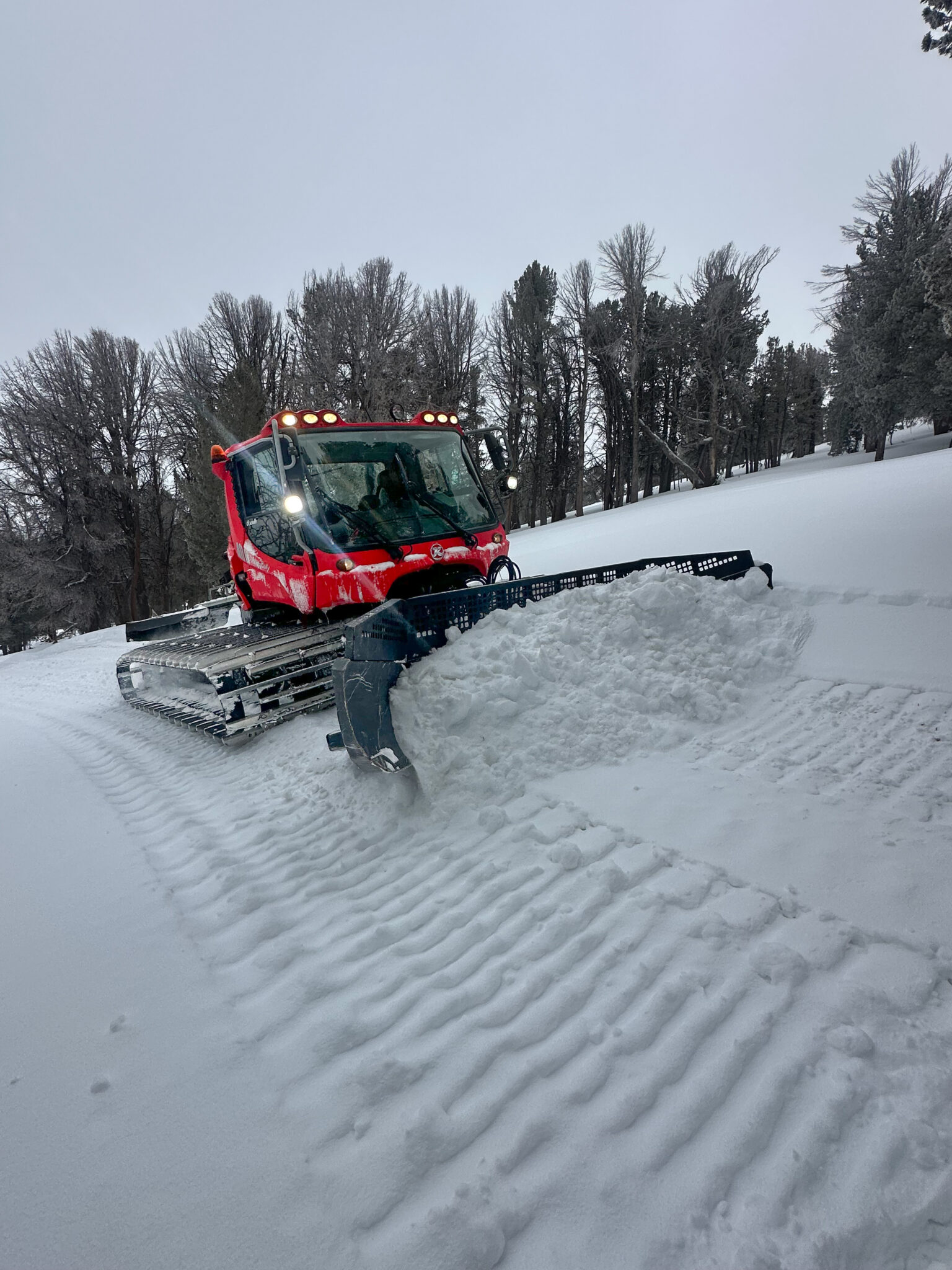 January 28, 2026. PURE MAGIC. - Ruby Mountain Heli